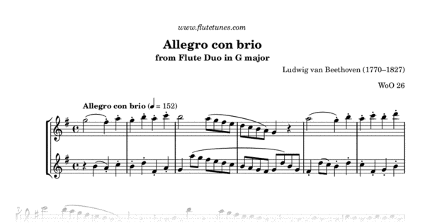 Allegro con brio from Flute Duo in G major (L. van Beethoven) - Free Flute Sheet Music ...