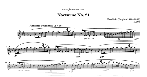 Nocturne No. 21 in C minor (F. Chopin) - Free Flute Sheet Music | flutetunes.com