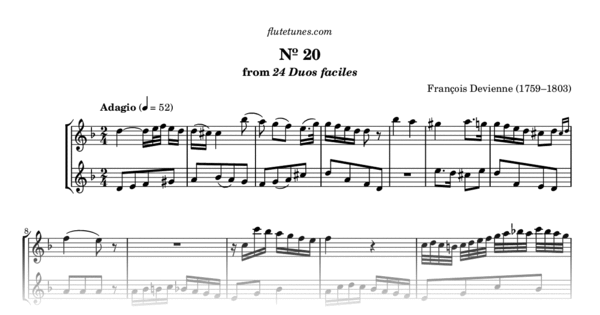Duet No. 20 in D minor from 24 Duos faciles (F. Devienne) - Free Flute Sheet Music | flutetunes.com