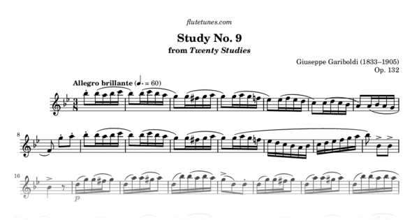 Study No. 9 in B-flat major from Twenty Studies (G. Gariboldi) - Free Flute Sheet Music ...
