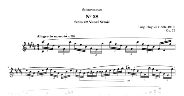 Study No. 28 in B major from 40 Nuovi Studi (L. Hugues) - Free Flute Sheet Music | flutetunes.com