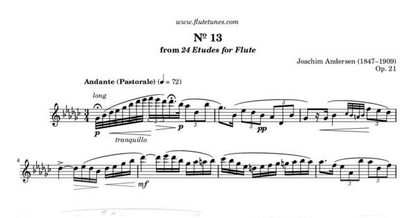 Study No. 13 in G-flat major from 24 Etudes for Flute, Op. 21 (J ...