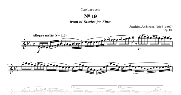 Study No. 19 in E-flat major from 24 Etudes for Flute, Op. 21 (J ...