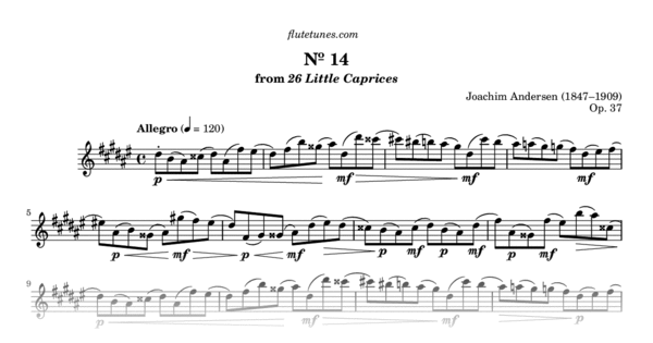 Caprice No. 14 in D-sharp minor from 26 Little Caprices (J. Andersen ...