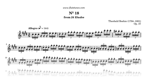 Study No. 18 in C-sharp minor from 24 Etudes (T. Boehm) - Free Flute ...