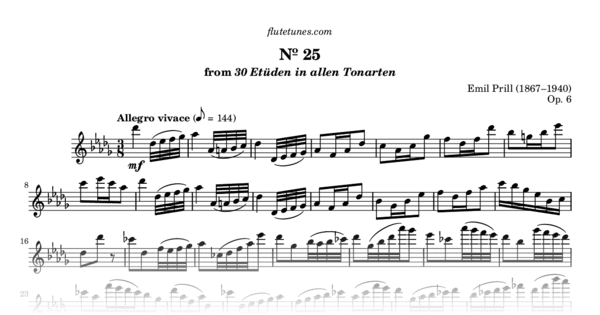 Study No. 25 in D-flat major from 30 Etüden in allen Tonarten (E. Prill ...